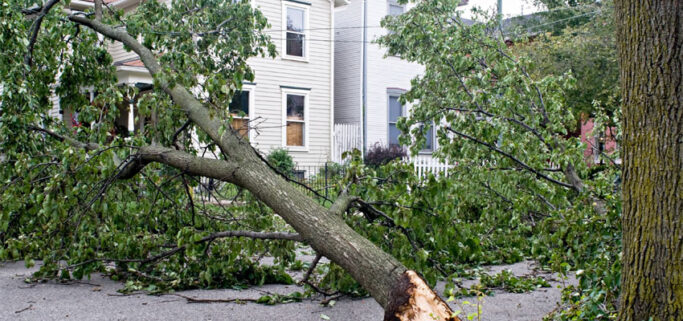 6 Action Steps You and Your Family Can Take to Prepare for a Tornado ...
